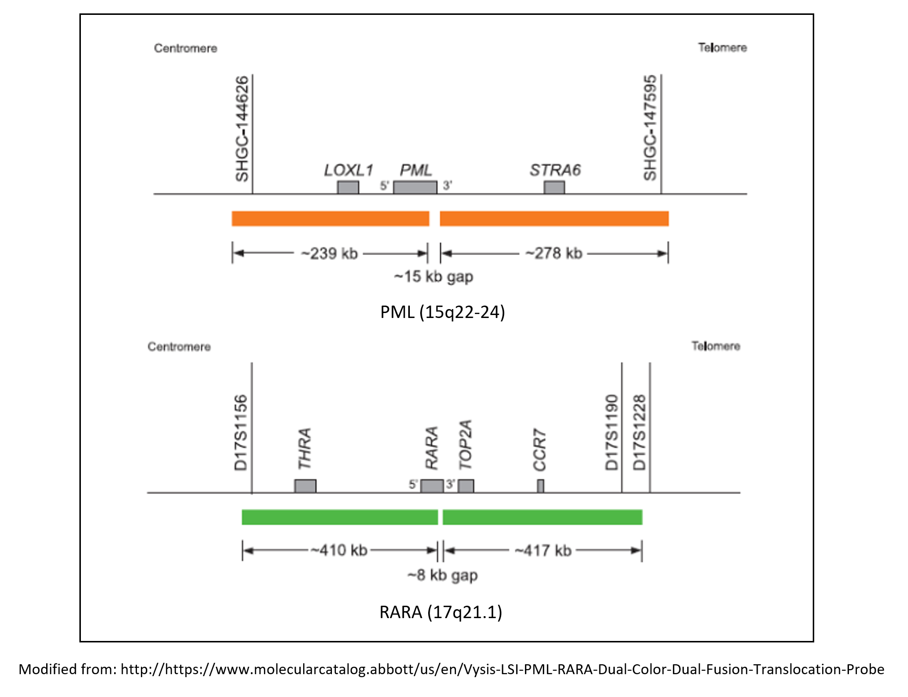 APL – FISH (Dx) – Cancer Genetics and Genomics Laboratory