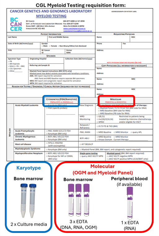 Myelodysplastic Syndrome (MDS) – Cancer Genetics and Genomics Laboratory