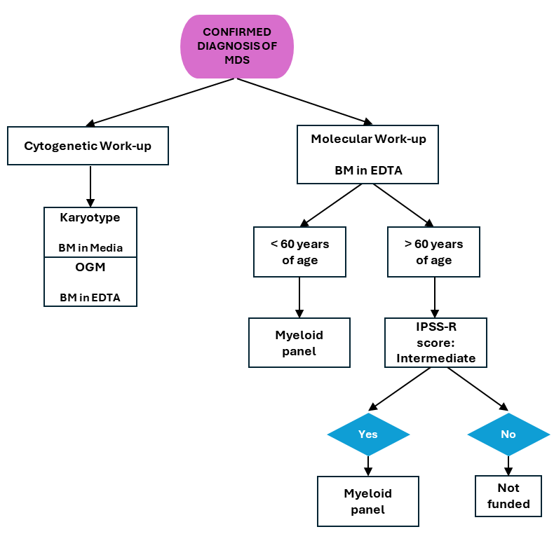 Myelodysplastic Syndrome (MDS) – Cancer Genetics and Genomics Laboratory