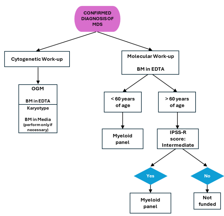 Myelodysplastic Syndrome (MDS) – Cancer Genetics and Genomics Laboratory